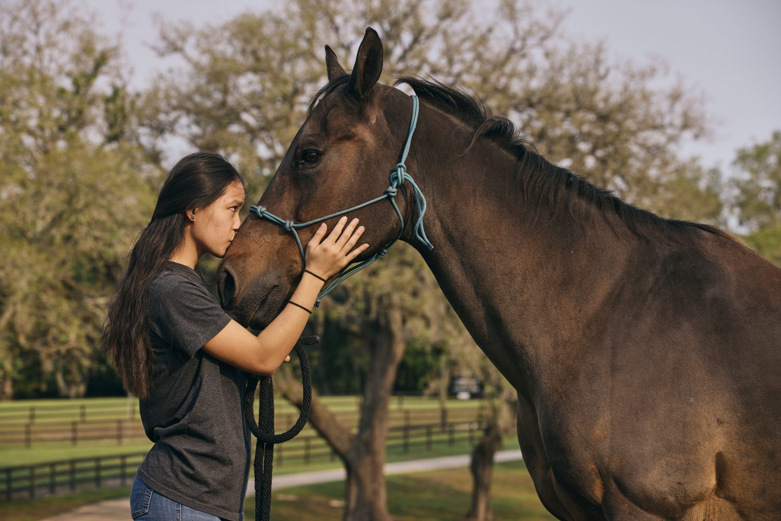 Crossroads Corral: Equine Assisted Therapy in Central Florida