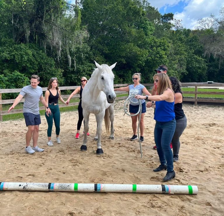 Crossroads Corral: Equine Assisted Therapy in Central Florida