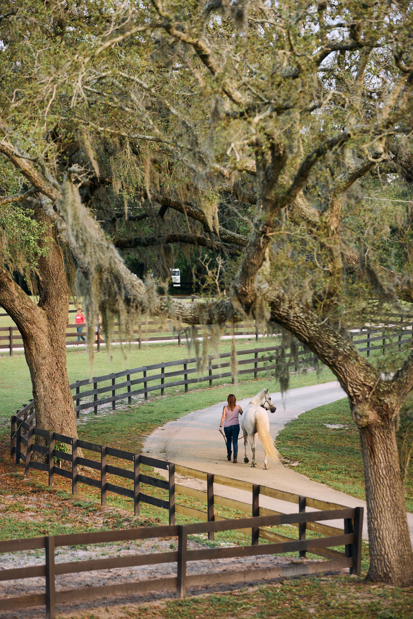 Crossroads Corral: Equine Assisted Therapy in Central Florida